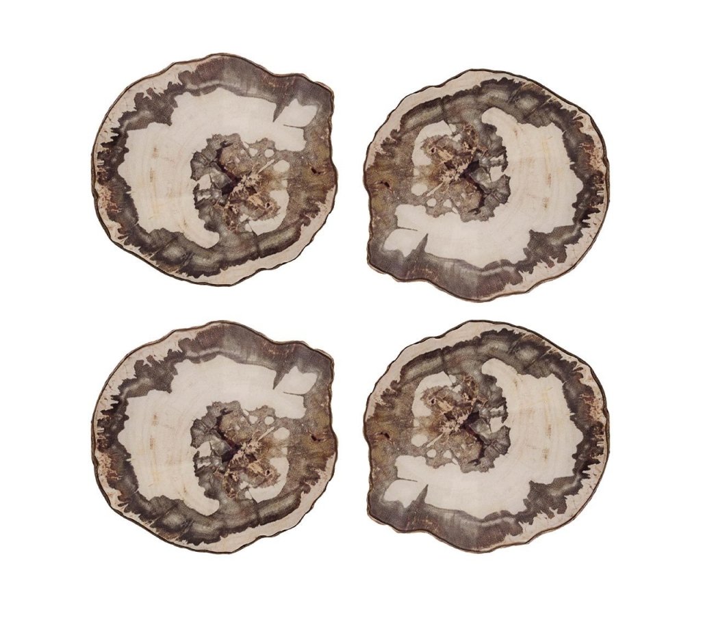 Petrified Wood Drink Coasters in Multi in a Gift Box | Kim Seybert