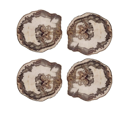 Petrified Wood Drink Coasters in Multi in a Gift Box | Kim Seybert