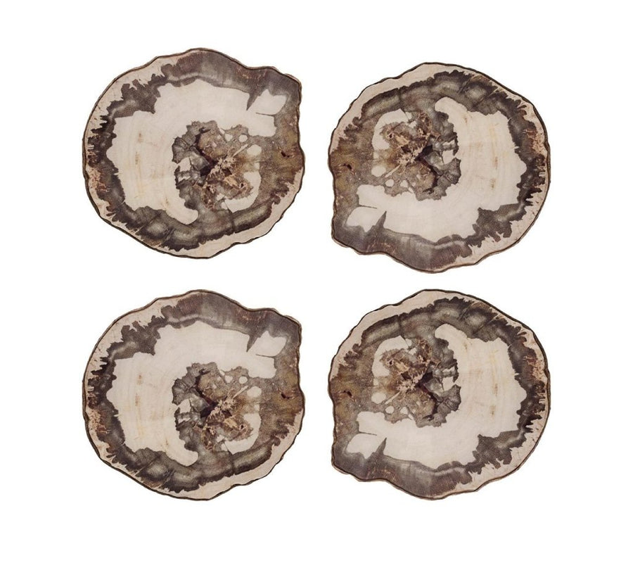 Petrified Wood Drink Coasters in Multi in a Gift Box | Kim Seybert